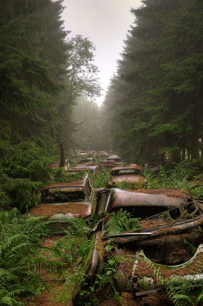 19 Stunning Photos of Nature Transforming Abandoned Wastelands