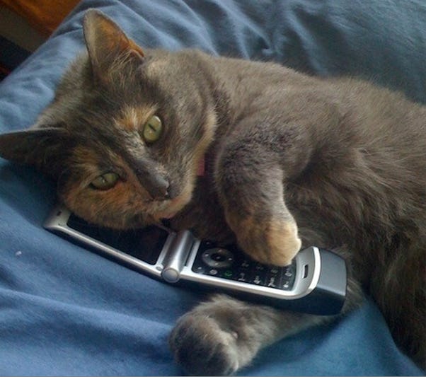 15 Times When It's Totally Appropriate to Catcall