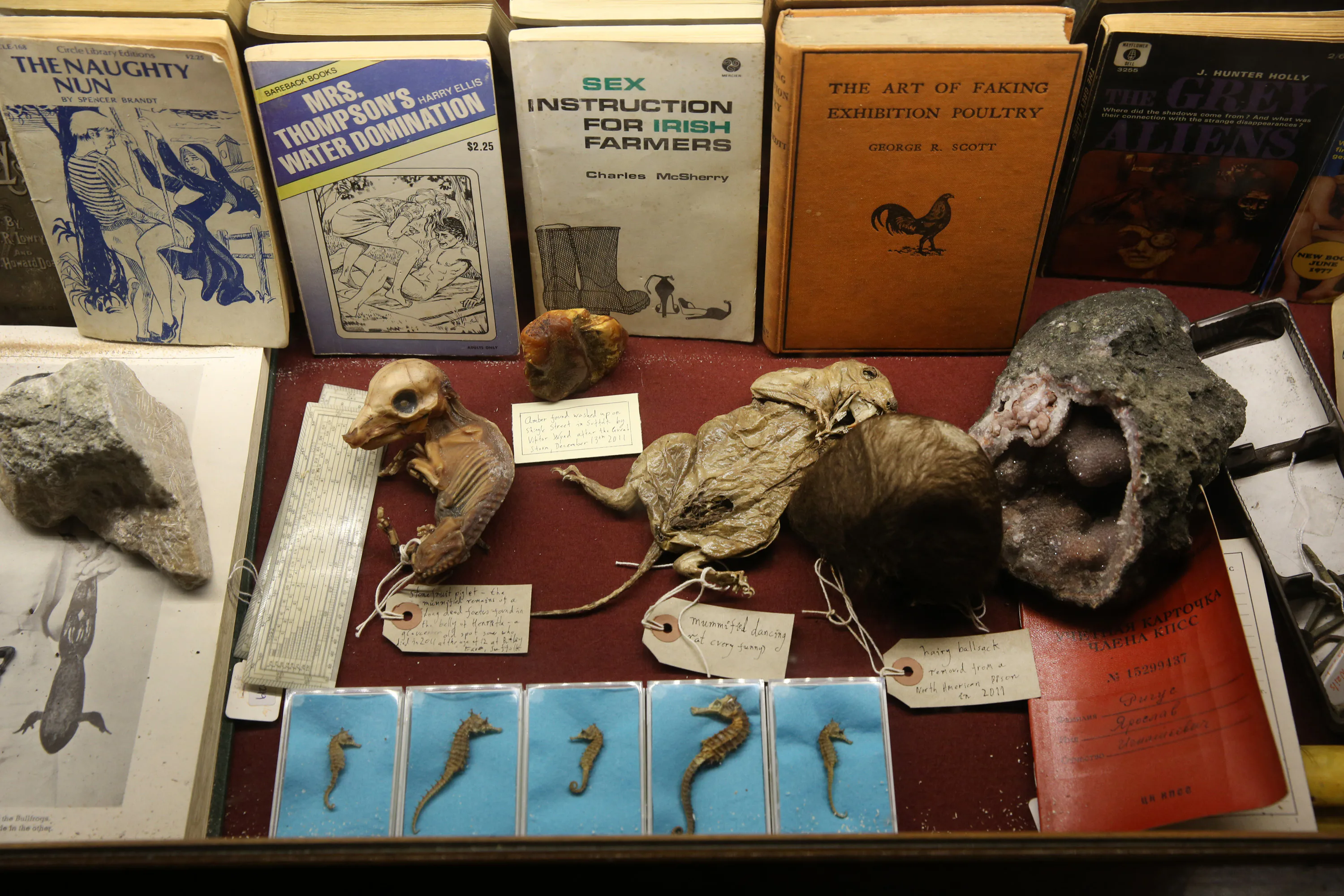Inside the World's Most Bizarre Brand-New Museum
