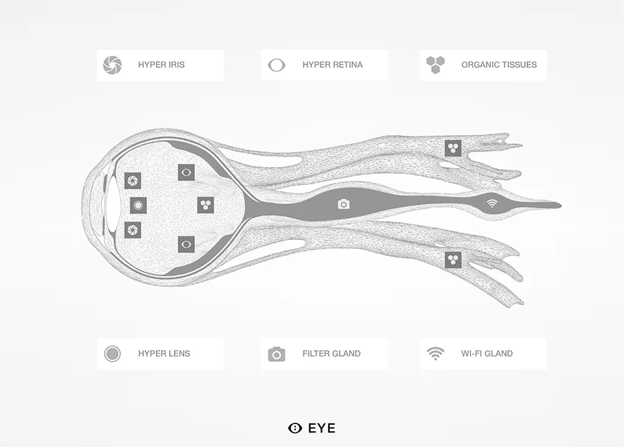 Scientists Are Building a 3-D Printed Eyeball That Can Record Your Vision