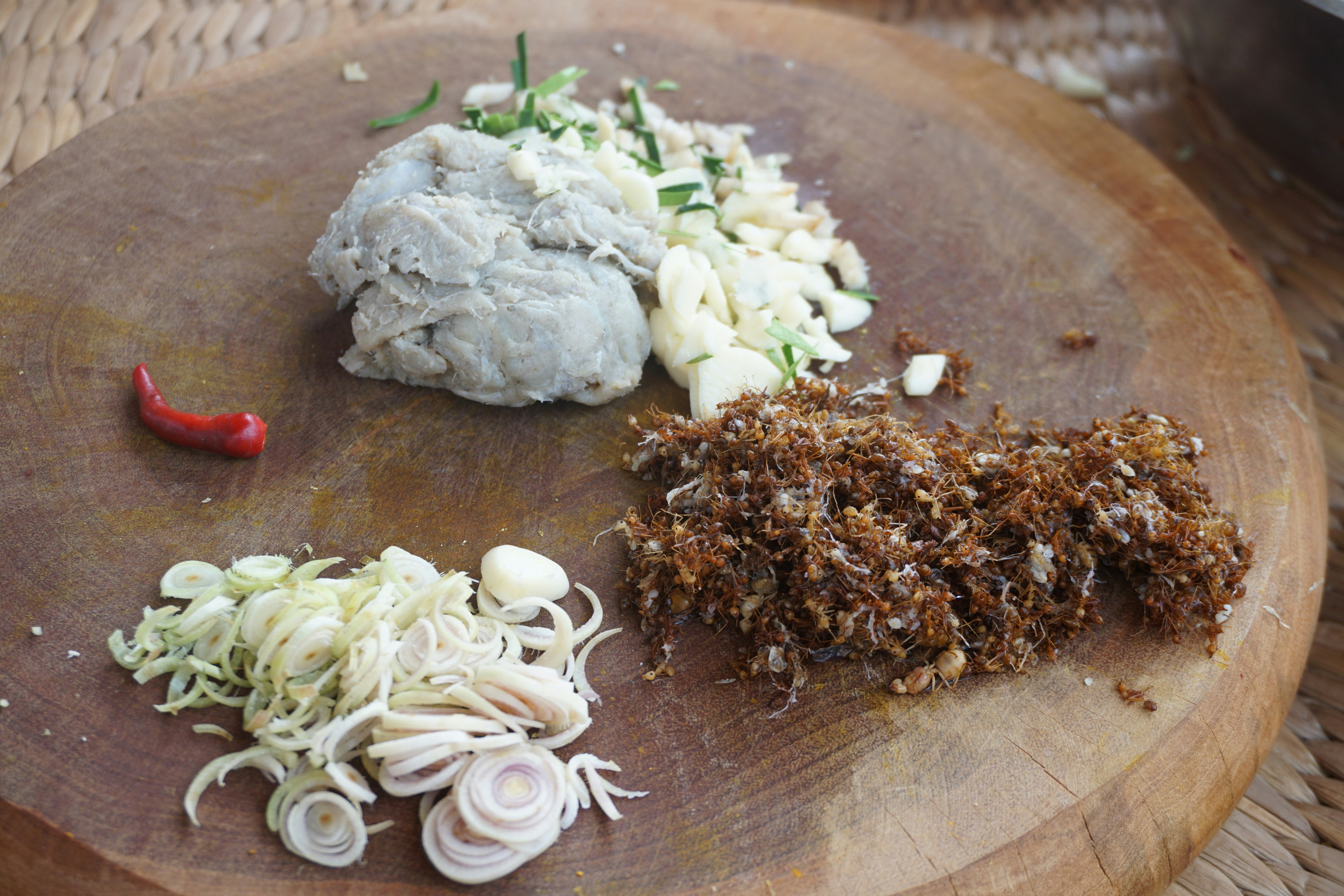 Tarantulas, fire ants and other bugs go from street food to gourmet ...