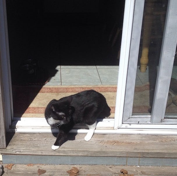 15 Times When It's Totally Appropriate to Catcall