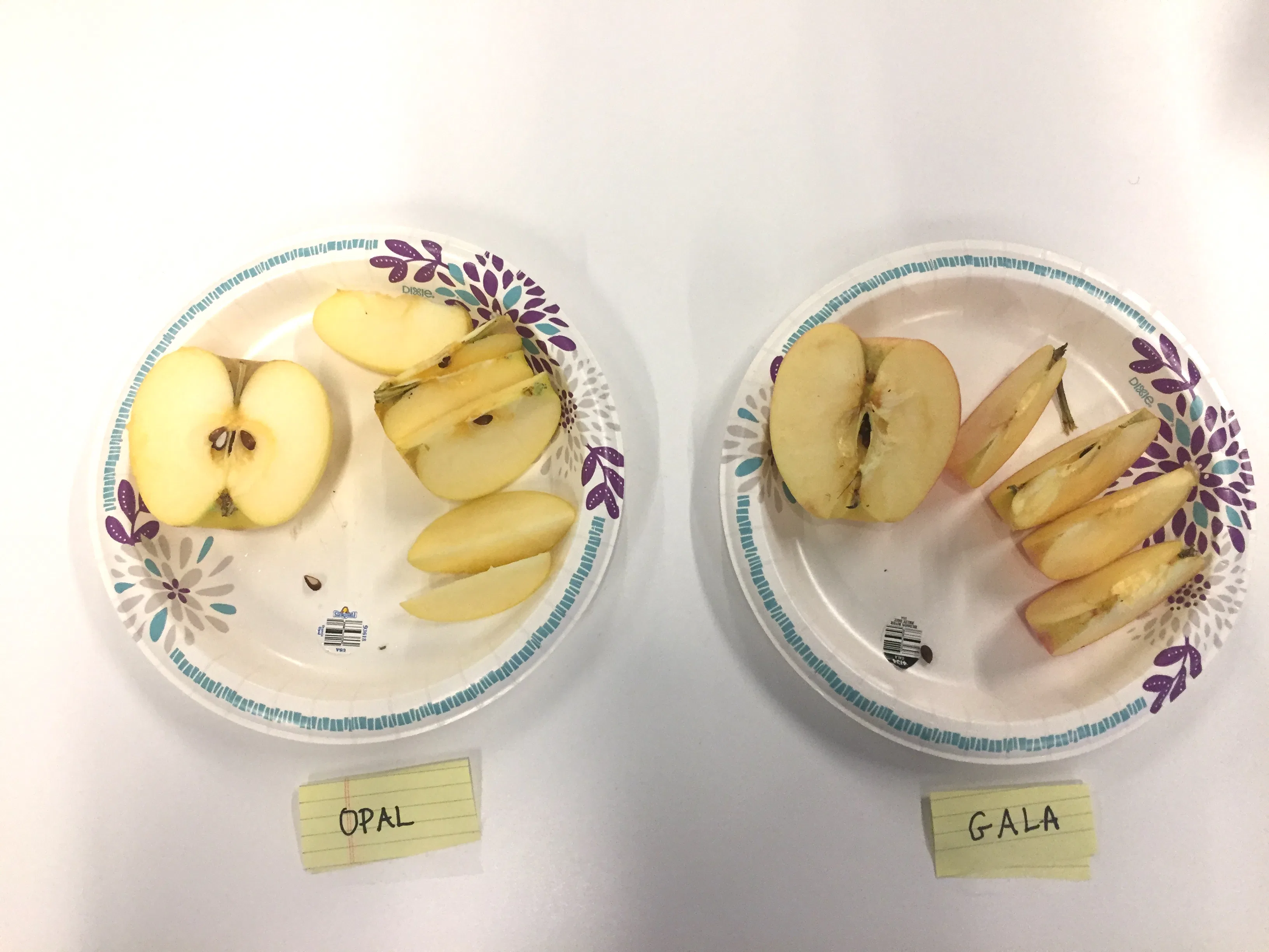 The Opal, a “non-browning apple” is here — and it’s made without any GMOs