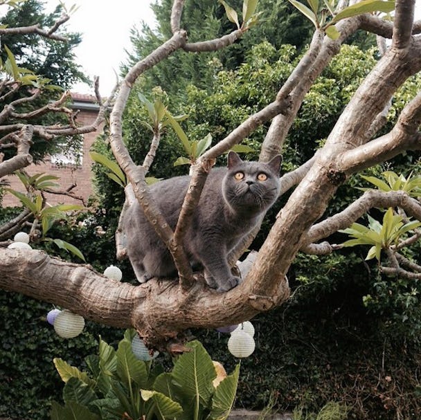 15 Times When It's Totally Appropriate to Catcall