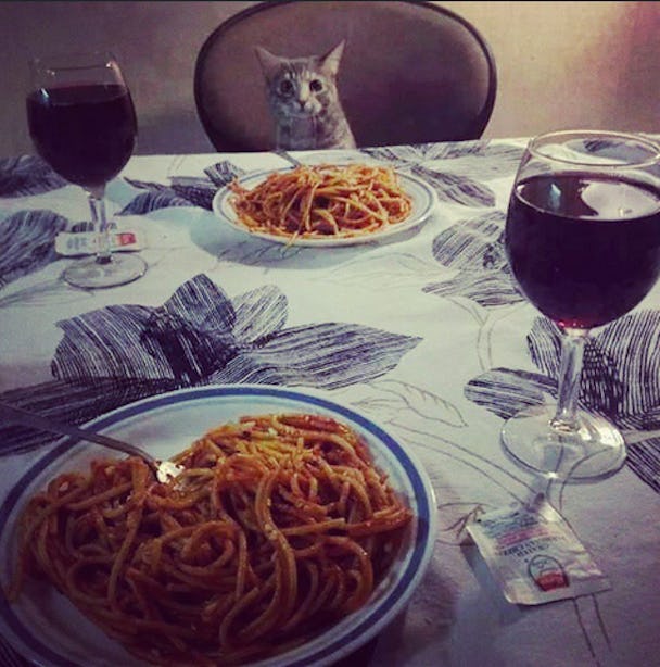 15 Times When It's Totally Appropriate to Catcall