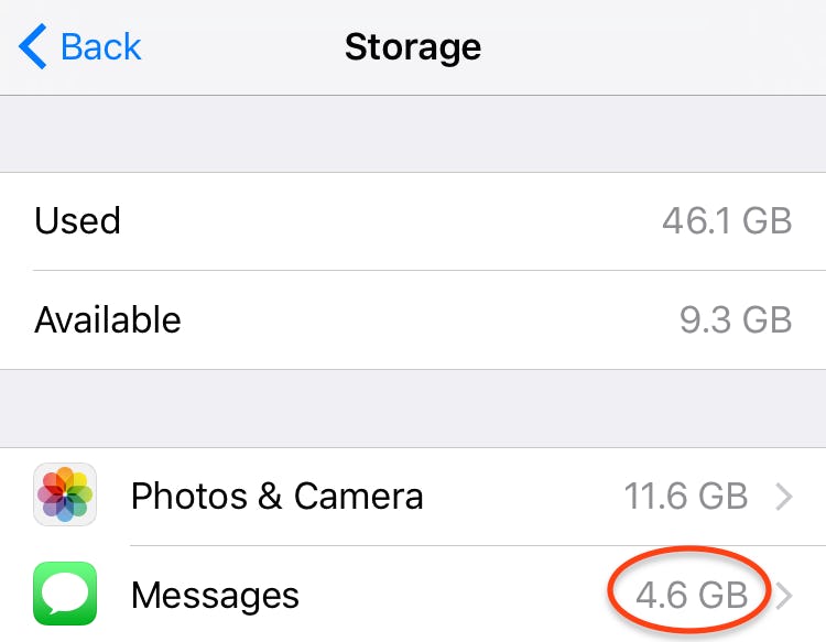 iPhone Storage Full? Here's What's Secretly Taking Up All the Space on ...