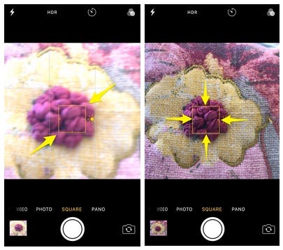 How to take beautiful close-up photos with an iPhone every time
