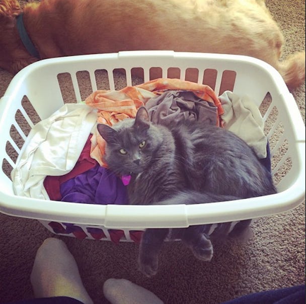 15 Times When It's Totally Appropriate to Catcall