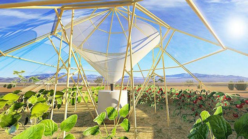 Designers Have Created a Device to Water Plants in the Middle of the Desert