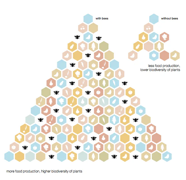 There Is An American Honey Bee Apocalypse Going On — and Scientists ...