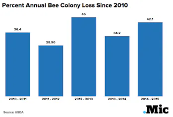 There Is An American Honey Bee Apocalypse Going On — and Scientists ...