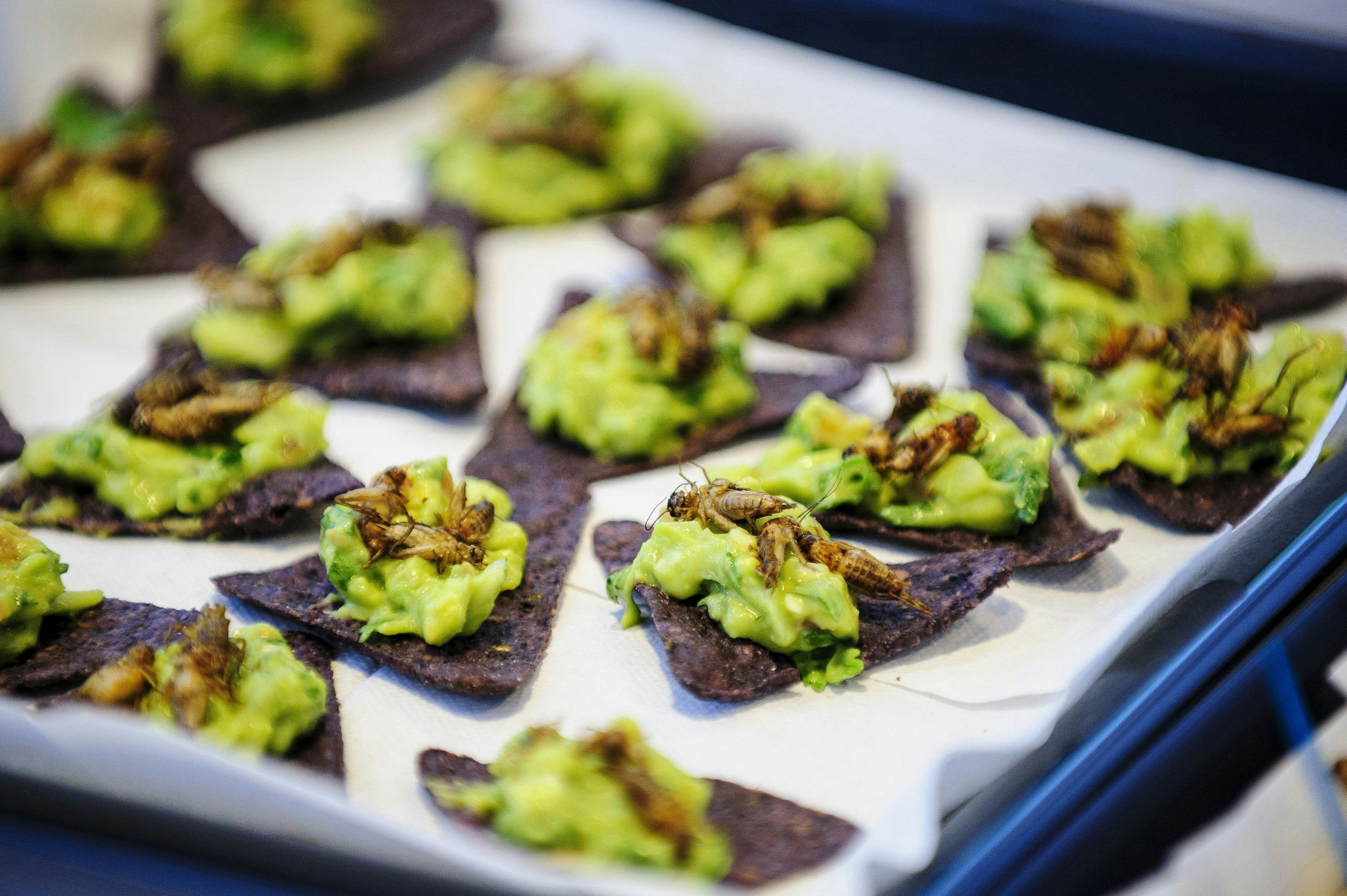 People Are Eating Crickets for Protein, and Here's Why You Should Too