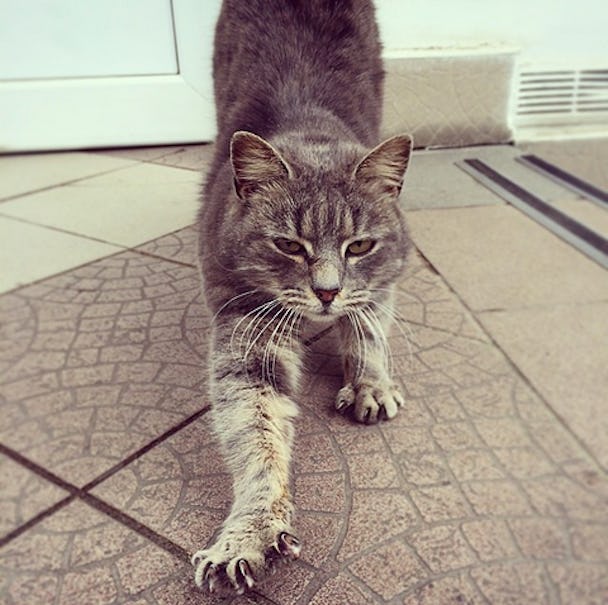 15 Times When It's Totally Appropriate to Catcall