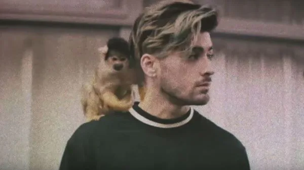 ZAYN Is Back In The Game With A New Music Video
