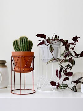 The 24 Cutest Accessories For Your Houseplants
