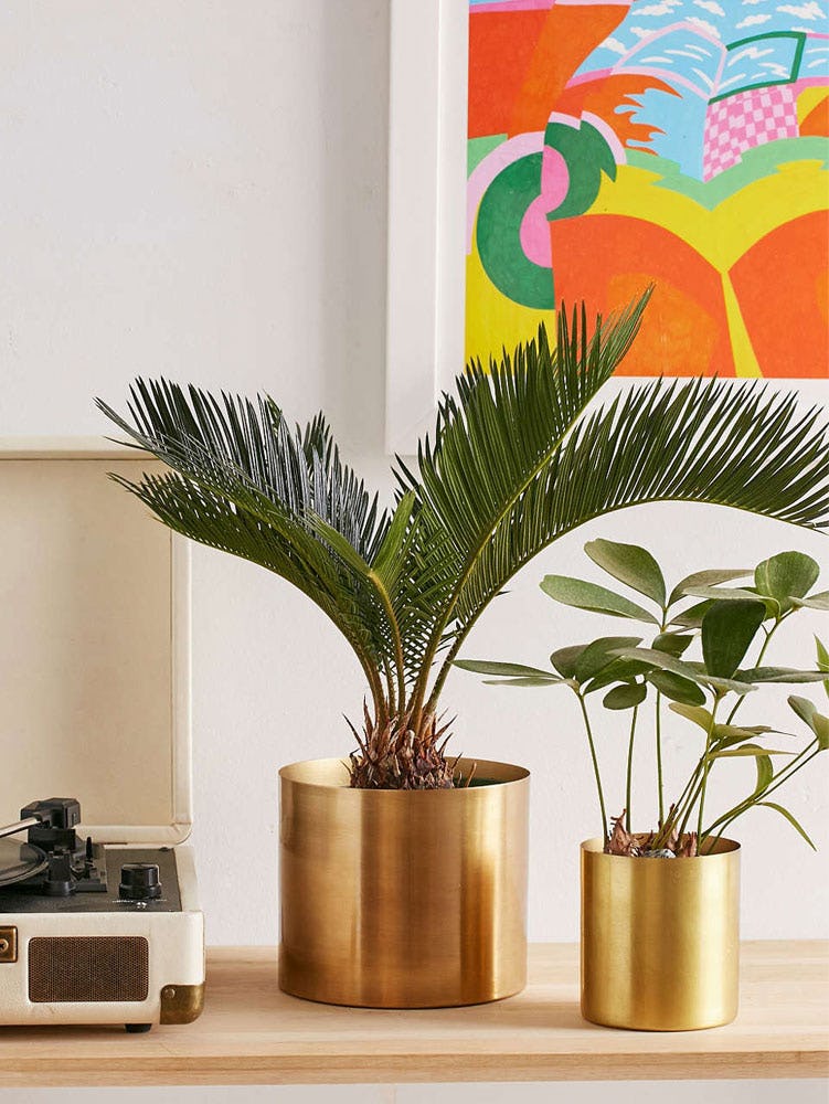The 24 Cutest Accessories For Your Houseplants