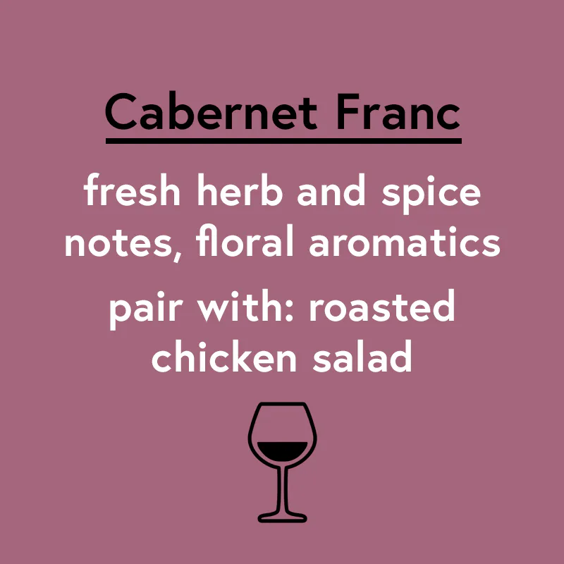 Red Wine Basics Every Modern Girl Should Know