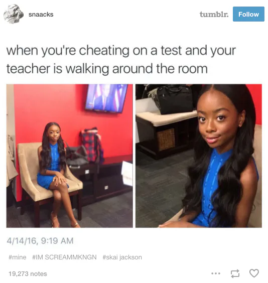 The 15 Memes That Made 2016 Bearable