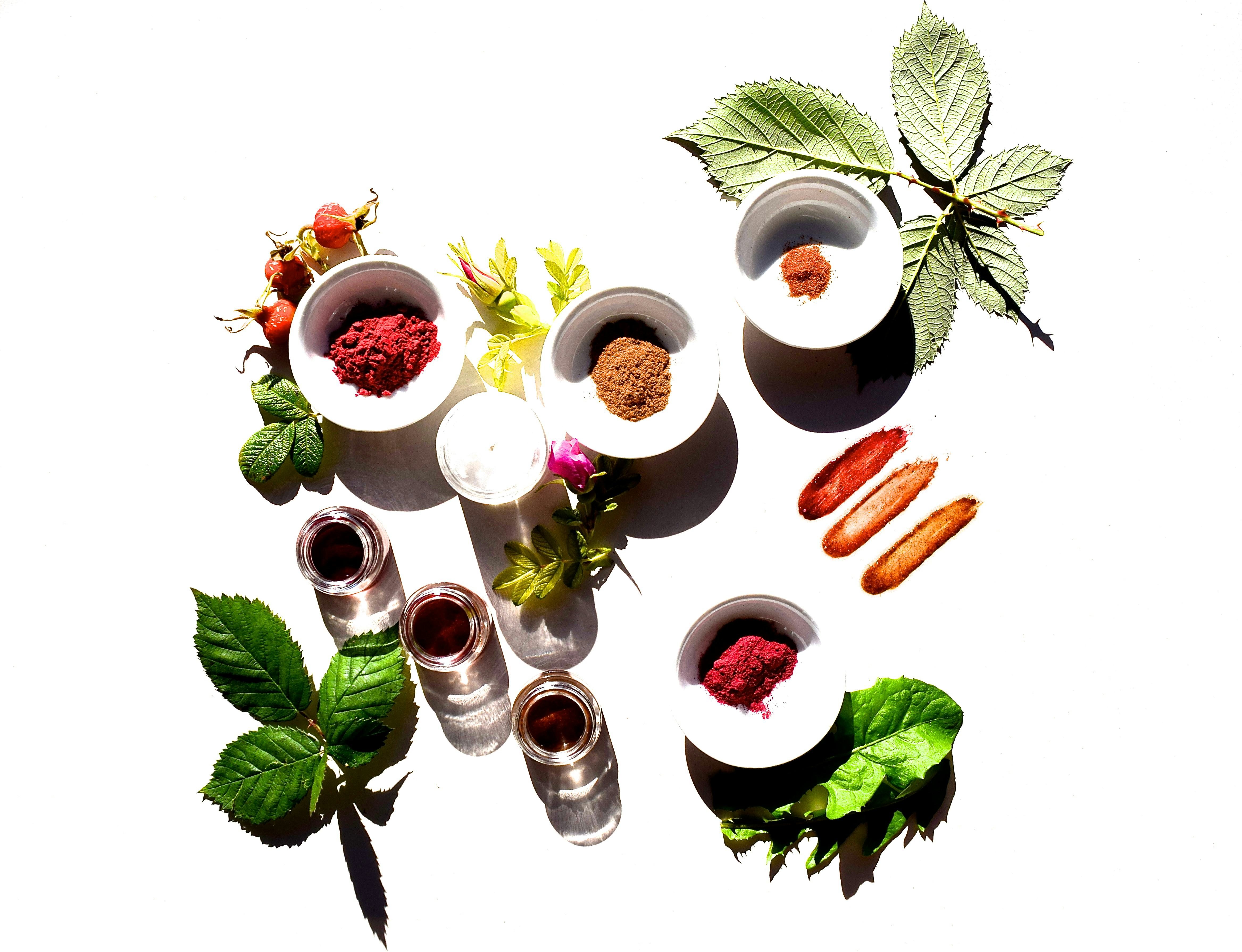 Create Your Own Natural Cosmetics With These Recipes From Plant Makeup