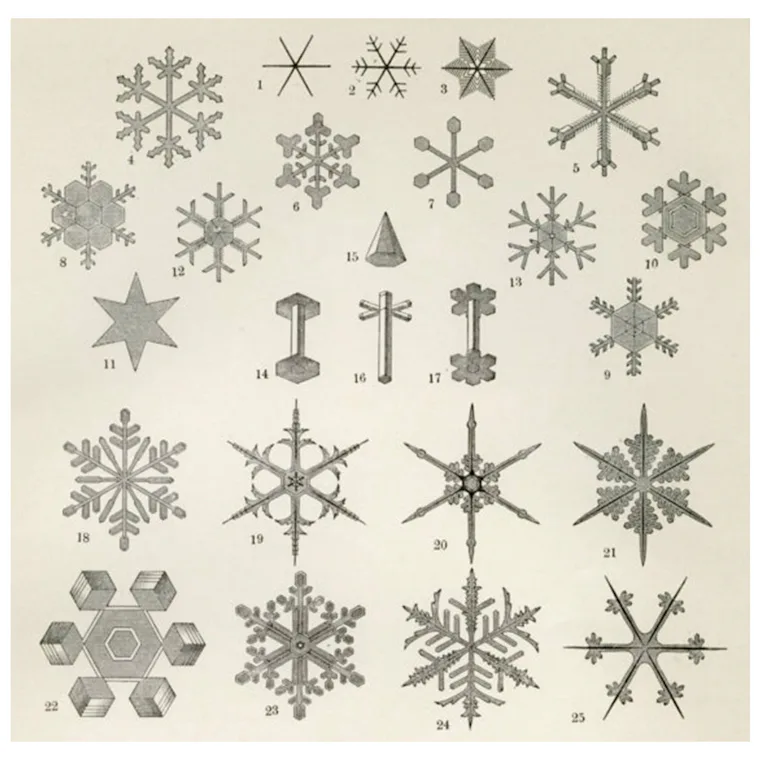 21 Beautiful Winter Art Prints To Get You Through The Season