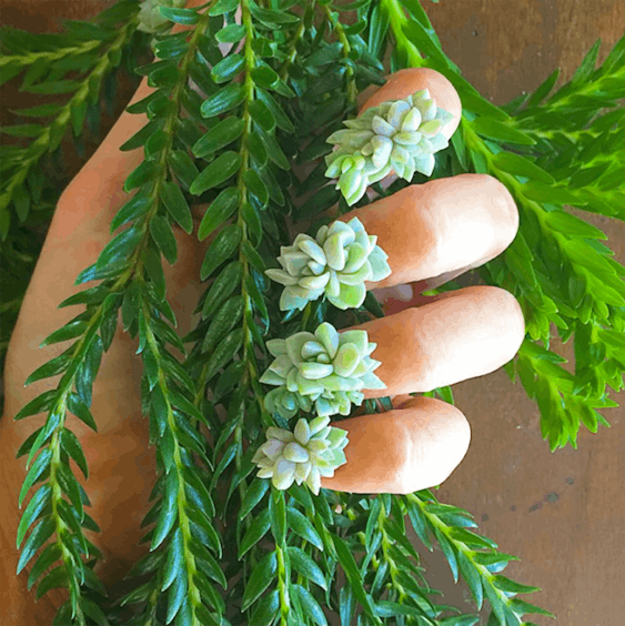 Succulent Nails Are The Latest Manicure Trend