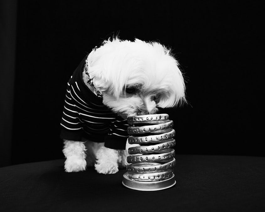 Go Behind The Scenes Of The Webby Awards With Our Exclusive Gallery