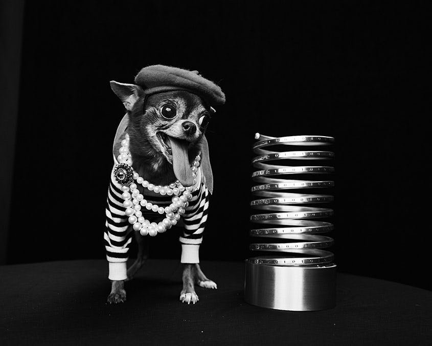 Go Behind The Scenes Of The Webby Awards With Our Exclusive Gallery