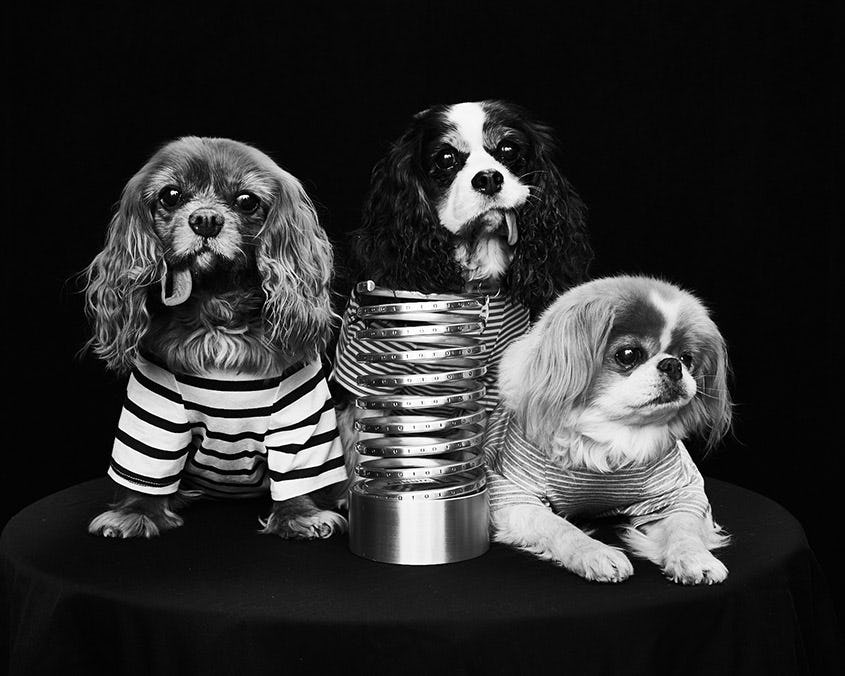 Go Behind The Scenes Of The Webby Awards With Our Exclusive Gallery