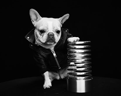 Go Behind The Scenes Of The Webby Awards With Our Exclusive Gallery