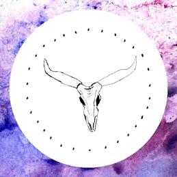 All About Taurus: Your Complete Guide To The Sun Sign
