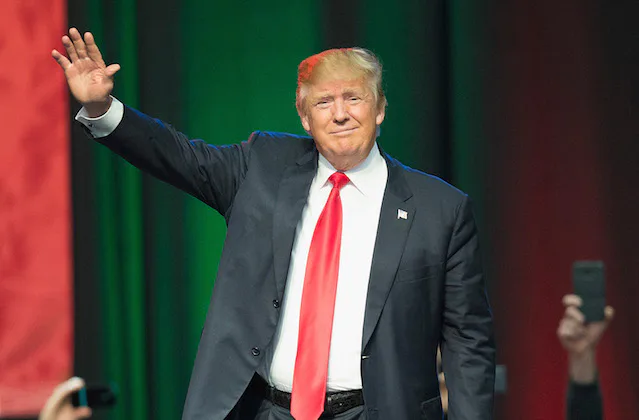 Does Donald Trump Even Know What “Schlong” Means?