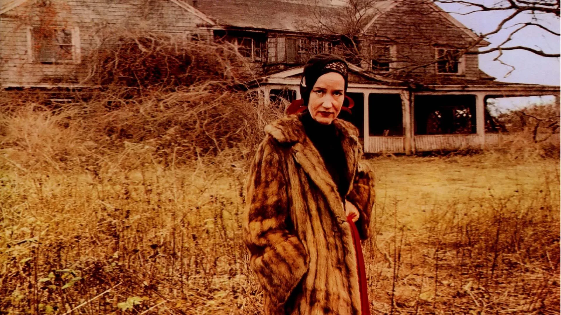 50+ Cult Favorite Halloween Costumes