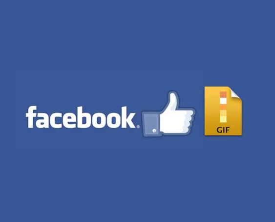 Facebook Will Officially Support GIFS