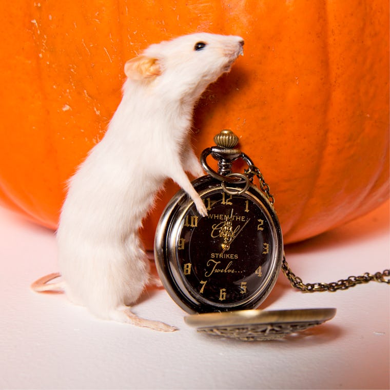 First Look At The Hot Topic x Cinderella Collection