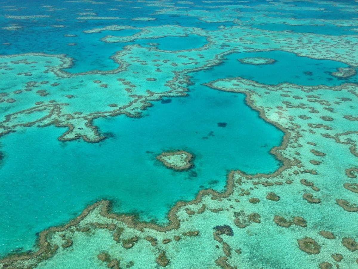 Hayman Island Travel Guide