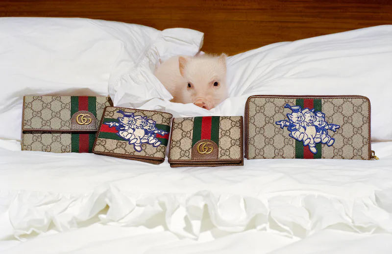 Gucci's New Campaign Features A Group Of Mini Pigs