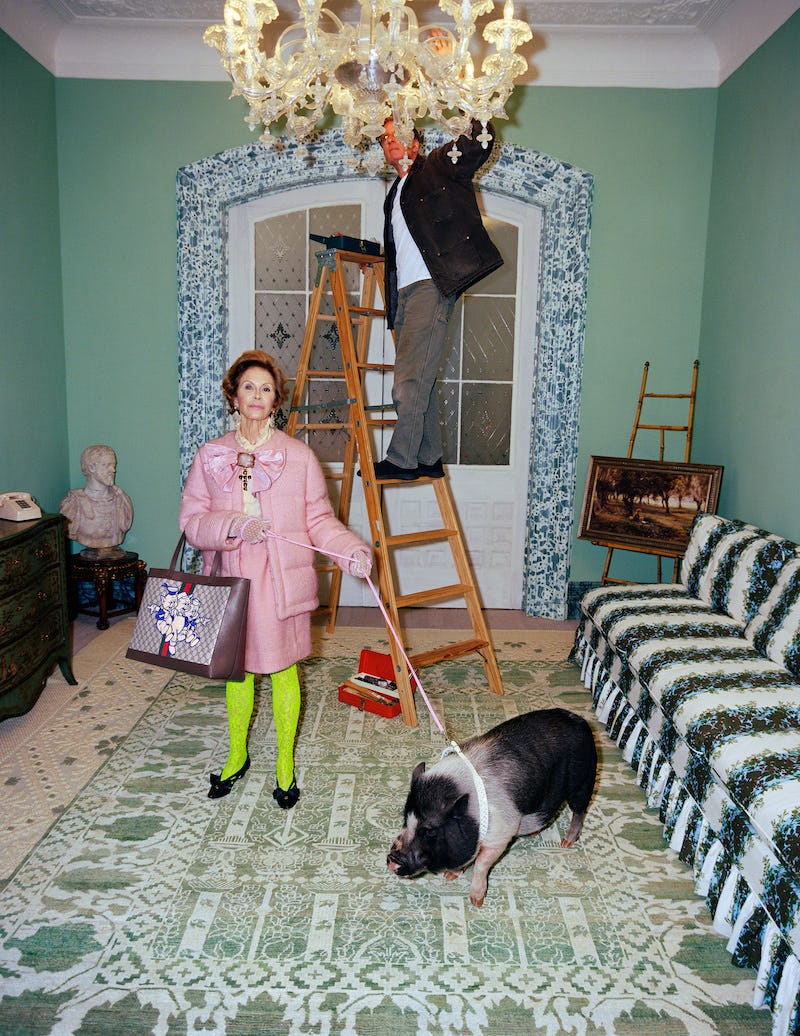 Gucci's New Campaign Features A Group Of Mini Pigs