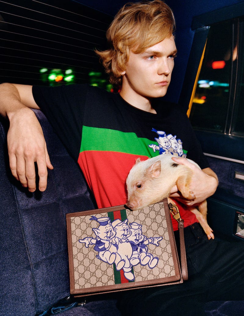 Gucci's New Campaign Features A Group Of Mini Pigs