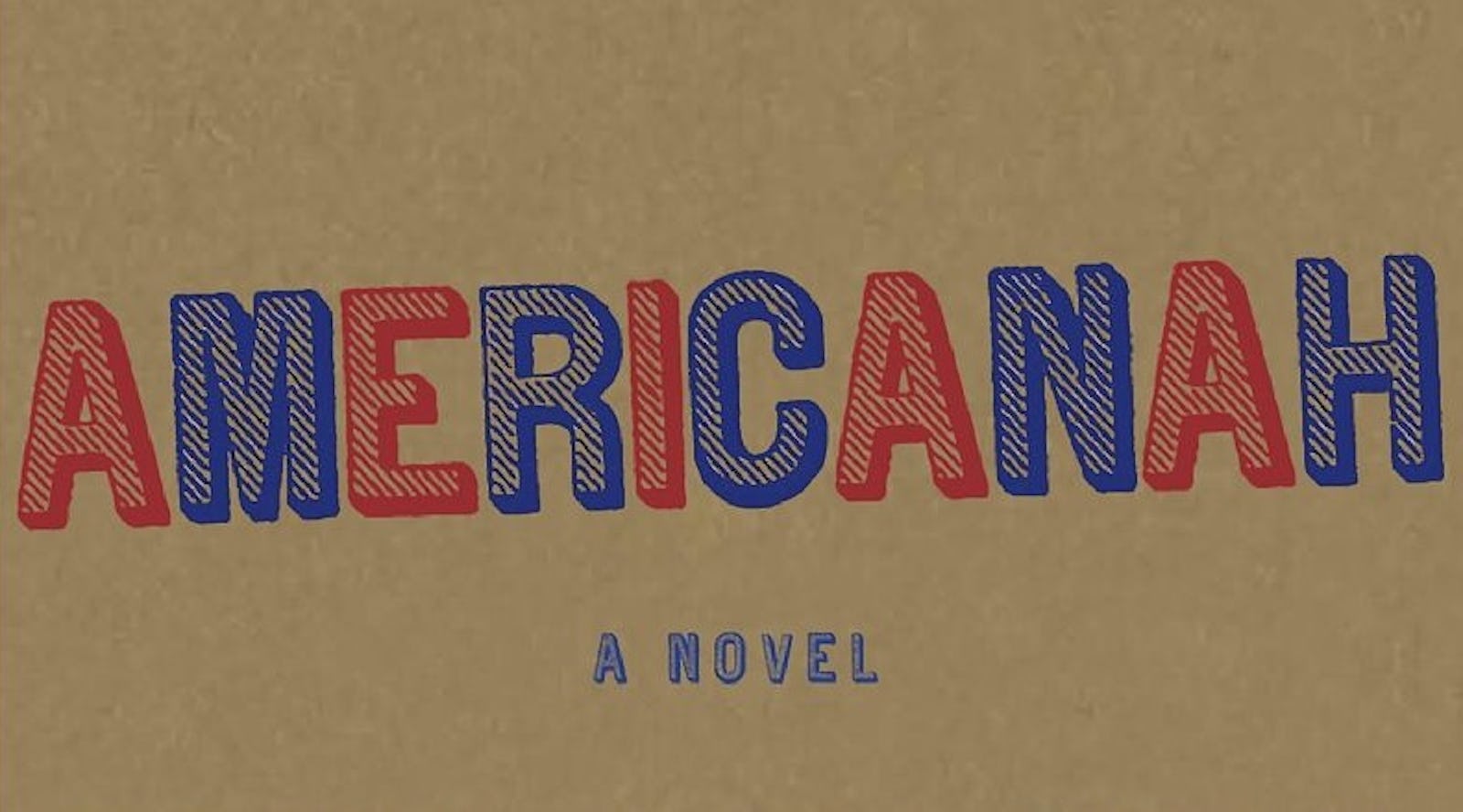 If You Loved 'Americanah,' Try Reading These 9 Books, Too