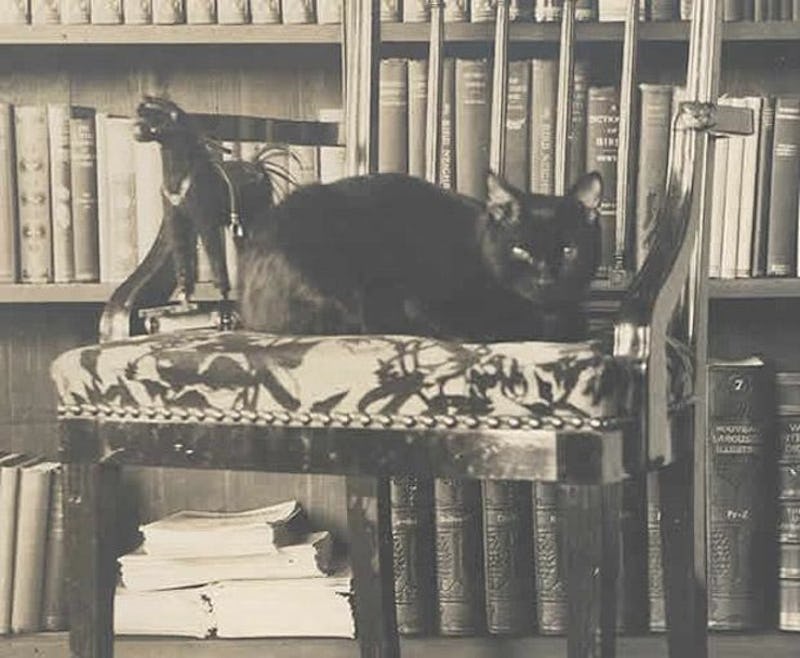 10 Famous Authors And The Pets That Inspired Their Work
