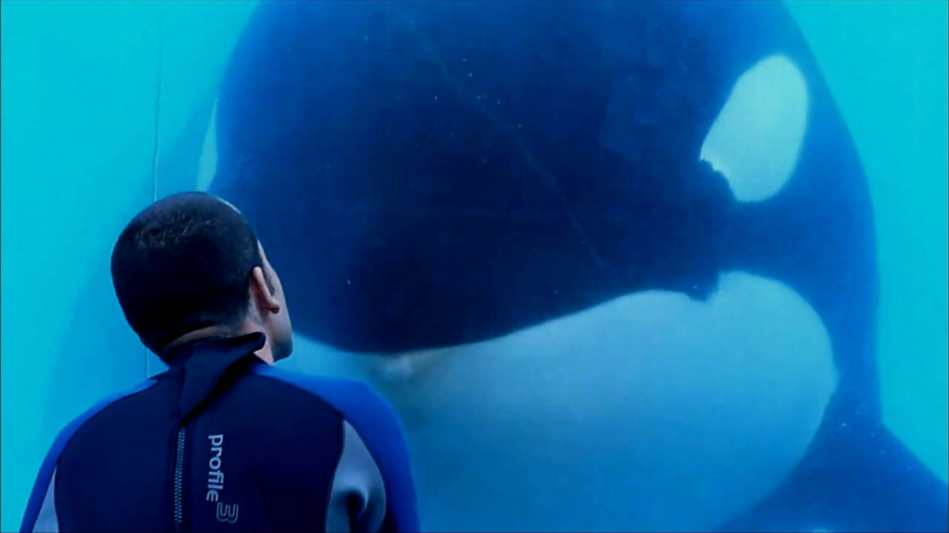 14 Things To Stop Scrolling Past On Netflix