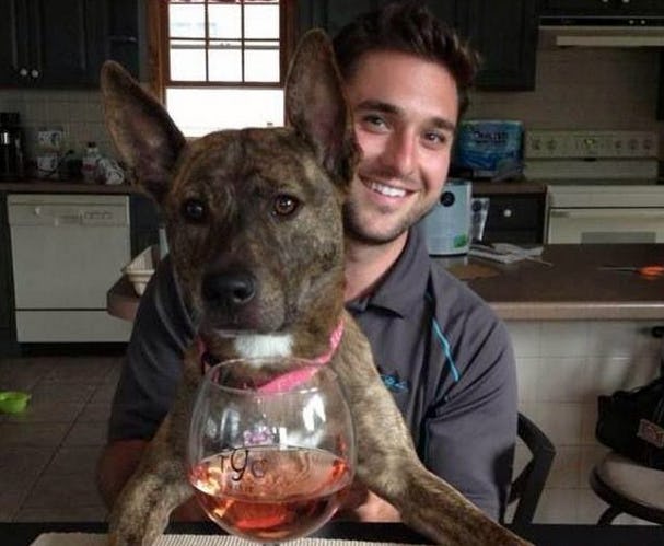 @DogDILFSOfTinder Instagram Is Making Us All Want To Date A Single Pet-Dad