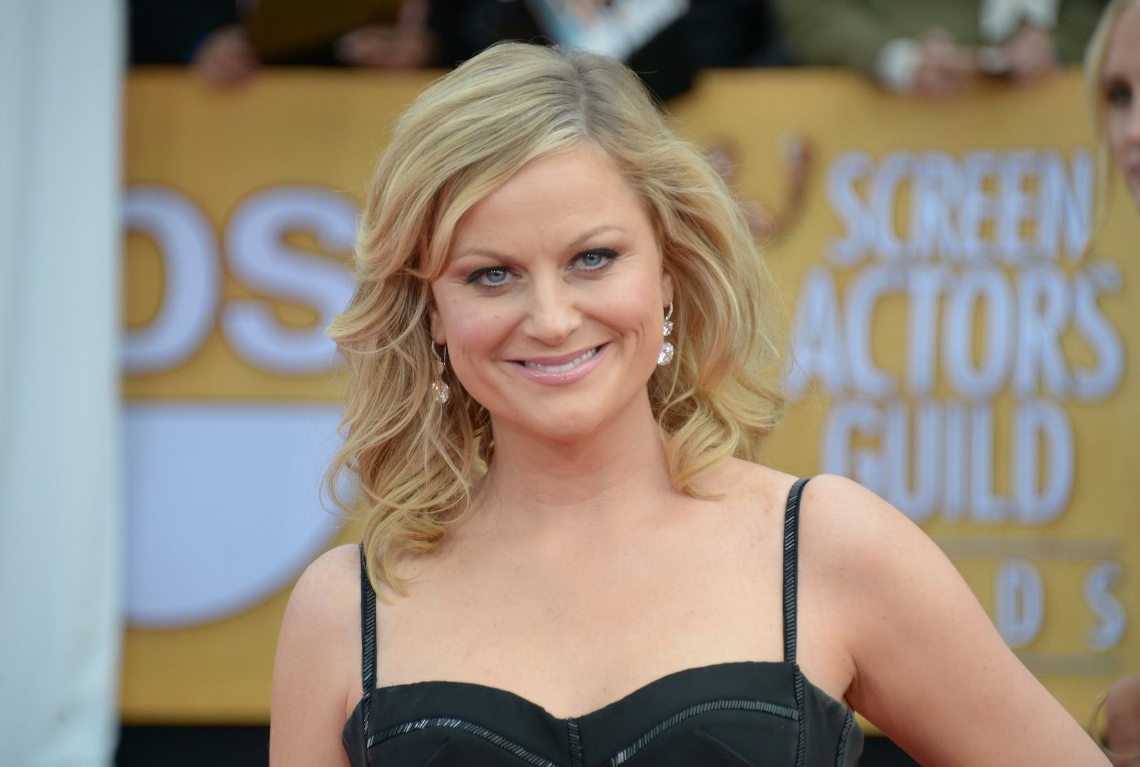 9 Amy Poehler Quotes That Prove She's The Perfect Choice For Joy In ...