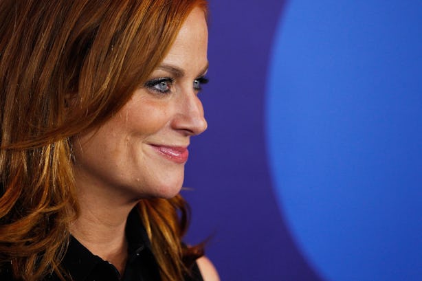 Amy Poehler Has Great Advice For Aspiring Comedians & It's Just One Of ...