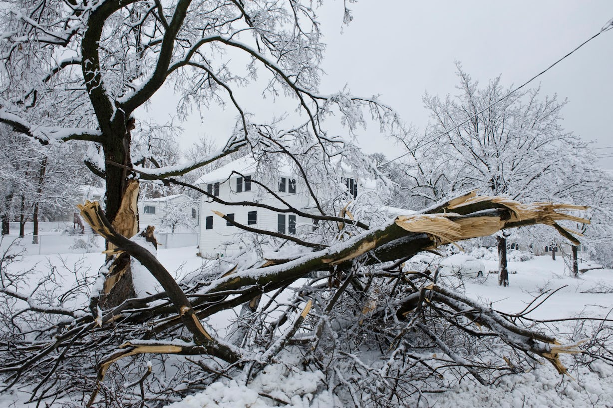 10 Worst Winter Storms The United States Has Ever Seen, Because Things ...