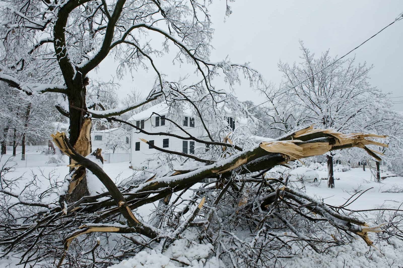 10 Worst Winter Storms The United States Has Ever Seen, Because Things ...