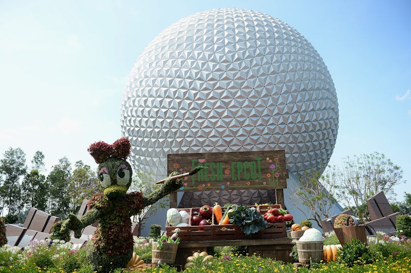 Why Was An Alligator In Disney World? It's Not As Unusual As It Sounds