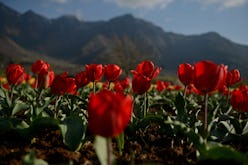 4 Spring Equinox Traditions From Around The World