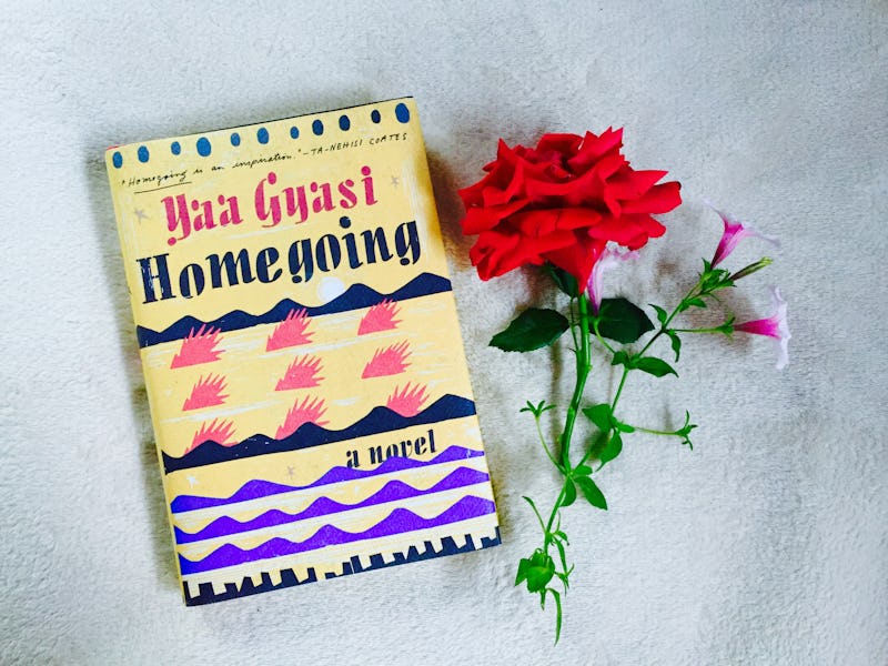 13 Powerful "Homegoing" Quotes About Family, Identity, And History