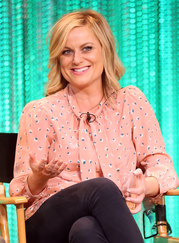 15 Amy Poehler Quotes from 'Yes Please' That Prove She's Our Brilliant ...